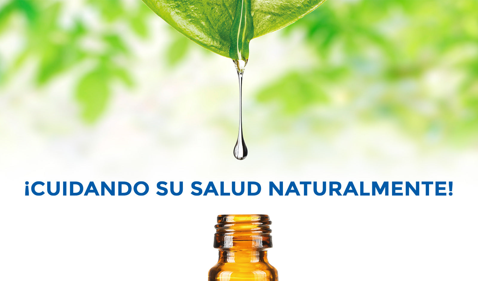 Cuida tu salud con nuestros medicamentos naturales – Biofarma
