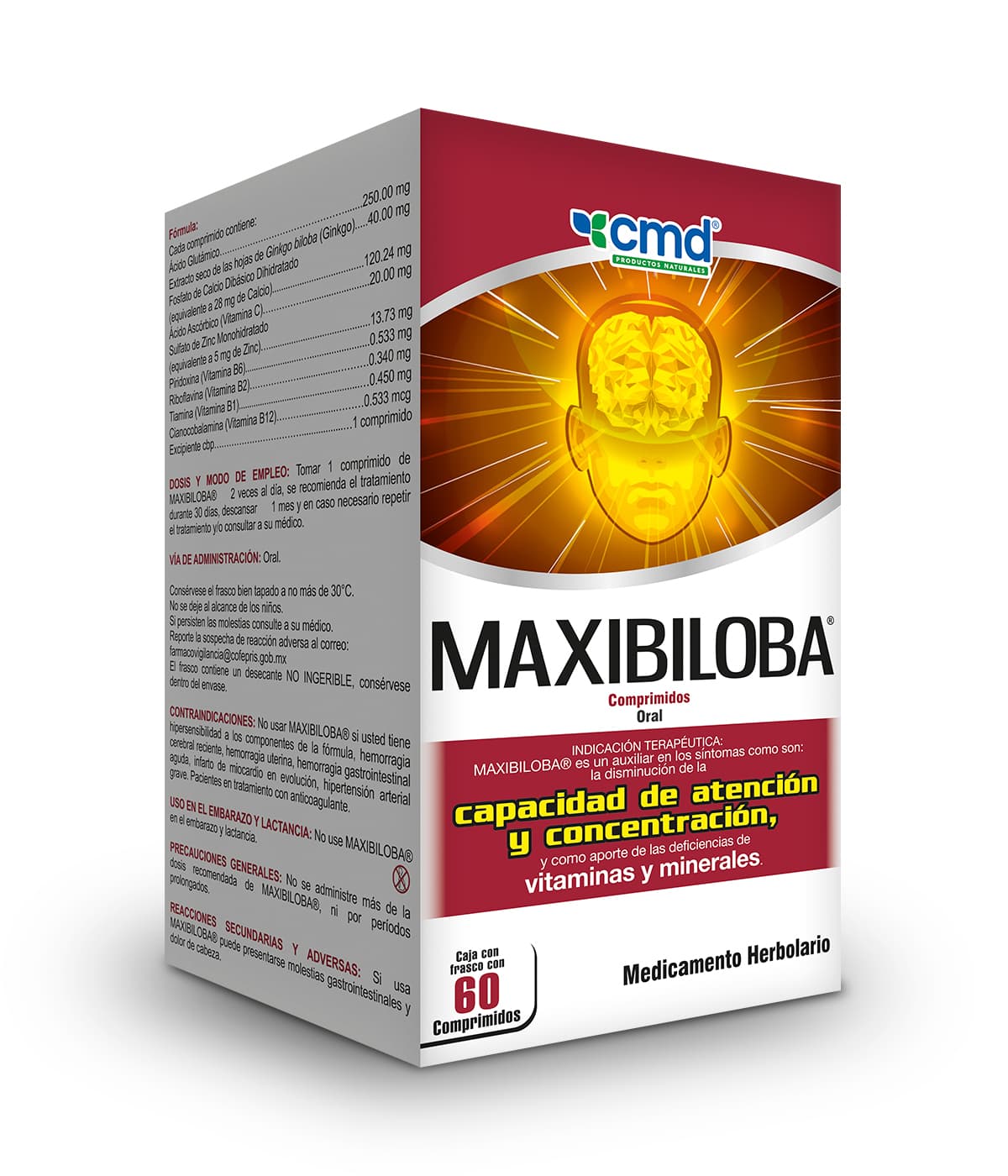 Maxibiloba Ginko Biloba: ayuda a la concentración – Biofarma